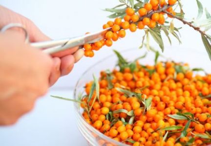 ΣΥΓΚΛΟΝΙΣΤΙΚΟ ΒΙΝΤΕΟ ΑΠΟ ΑΝΘΡΩΠΟΥΣ ΠΟΥ ΕΚΑΝΑΝ ΤΟ ΕΜΒOΛΙΟ ΚΑΙ ...