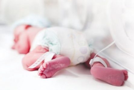 Η ΑΡΧΑΙΑ ΕΛΛΗΝΙΚΗ ΓΛΩΣΣΑ ΘΕΡΑΠΕΥΕΙ ΤΟ ΜΥΑΛΟ | Votegreece.gr