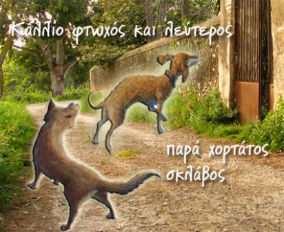 ΜΙΑ ΕΝΔΙΑΦΕΡΟΥΣΑ ΚΑΙ ΔΙΔΑΚΤΙΚΗ ΙΣΤΟΡΙΑ | Votegreece.gr